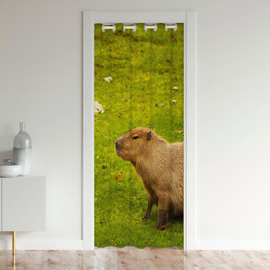 Capybara Blackout Curtain for Bedroom Privacy, Cute Capybaras On Grass ...