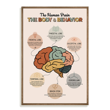 The Human Brain The Body And Behavior Chart Poster Brain Anatomy And ...