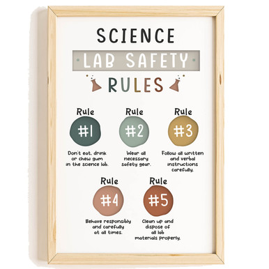 Lannie Urban Science Lab Safety Rules Poster - Science Posters for ...