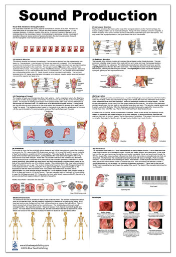 Sound Production Anatomy Poster 24x36inch, Waterproof-vocal Folds ...