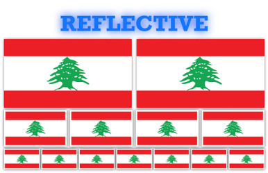 13 Pack Lebanon Flags | (x2) 4x2 inch, (x4) 2x1 inch, (x7) 1x.5 inch ...