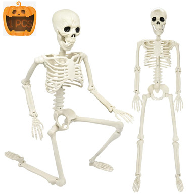 CAMIRUS 3FT Halloween Skeleton, 36" Full Body Halloween Skeleton with ...