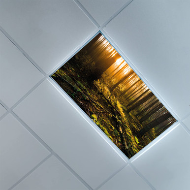 Fluorescent Light Covers for Ceiling Light Diffuser Panels-Nature ...