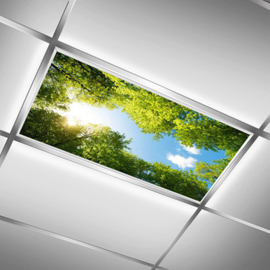 Spring Forest,Green Blue,Light Diffusers,Light Diffuser to Protect ...