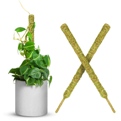 DUSPRO 2Pack 17 Inch Forest Moss Pole for Plants, Small Moss Poles for ...