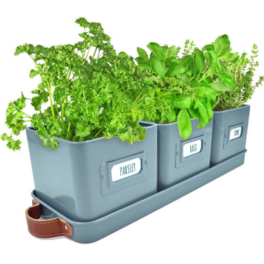 volila Window Herb Garden Planter Indoor - Window Herb Planter Pots for ...