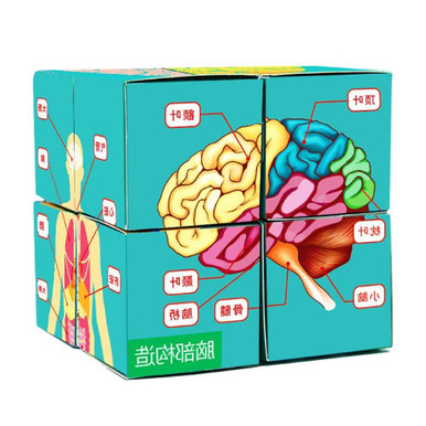 Human Body Organs Cube Human Anatomy Study Cube Science Classroom ...