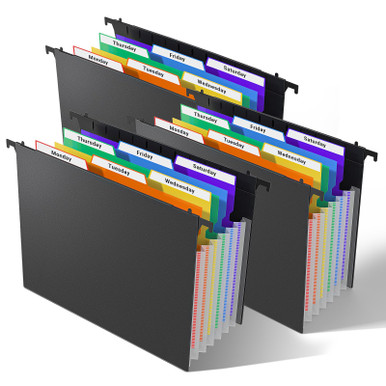 Plastic Expanding Hanging File Folders for Filing Cabinet,1/3-Cut Tab ...