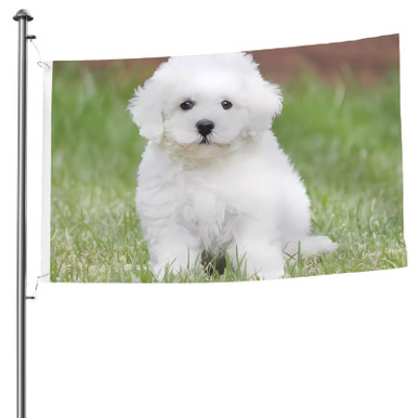 Bichon Frise Dog Flag 5x8 Ft Outdoor Double Sided Garden Flags Welcome ...