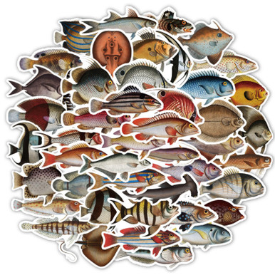 Funny Fish Stickers for Water Bottle, 50pcs Cool Fishing Stickers for ...
