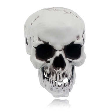 Aggsoso Skull Decor Plastic Skulls Heads, Day of The Dead Decor Human ...