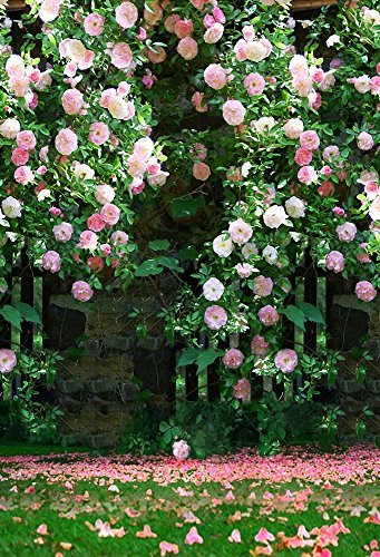 AOFOTO 5x7ft Romantic Roses Photography Studio Backdrops Wedding Sweet ...