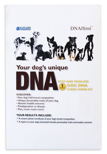 Dog DNA - Canine Breed Identification Test - Home Cheek Swab Kit ...