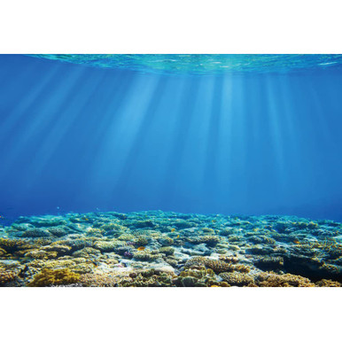 Renaiss 10x6.5ft Underwater World Backdrop Polyester Sunlight Deep Blue ...