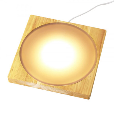 SPICE OF LIFE LED Base Light Display - Large, 8" L x 8" W - Bottom ...