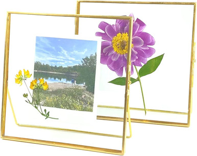 Beedecor Double Glass Frame for Pressed Flowers, Leaf and Artwork ...