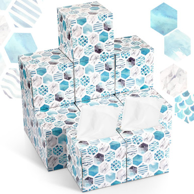 Lincia 12 Pack Facial Tissues Boxes Tissues Cube Box with 80 Tissues ...