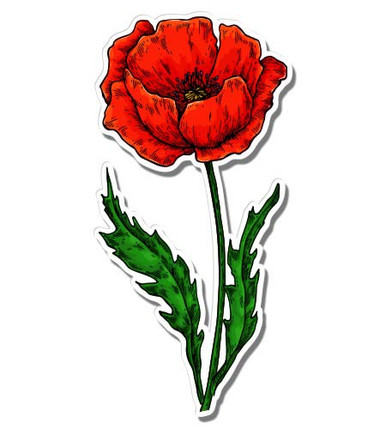 GT Graphics Poppy Flower - 3" Vinyl Sticker - for Car Laptop I-Pad ...