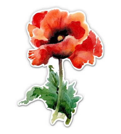 Watercolor Red Poppy - 3" Vinyl Sticker - for Car Laptop I-Pad Phone ...