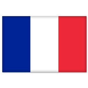 France French Flag car bumper sticker decal 6" x 4" - Warehousesoverstock