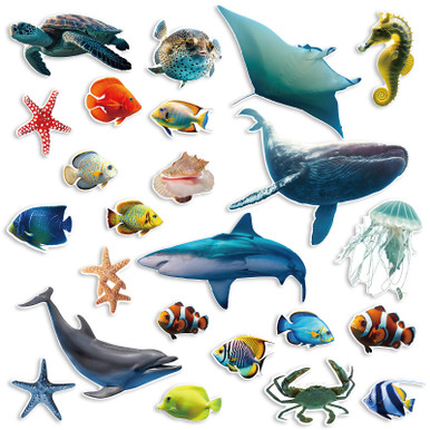 Fulmoon 62 Pcs Realistic Sea Ocean Animal Classroom Bulletin Board ...