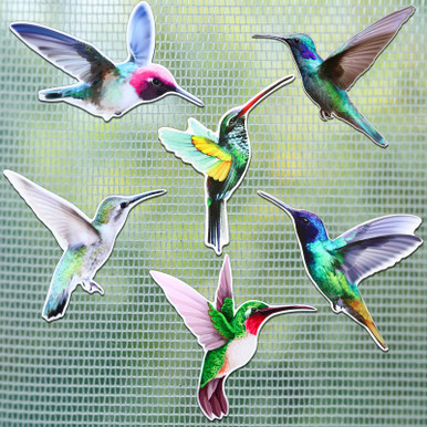 12 Pieces Humming Bird Screen Saver Magnets Decorative Flexible Double ...
