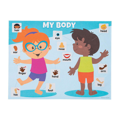 Labeling Body Part Sticker Scenes - 12 Pieces - Educational and ...