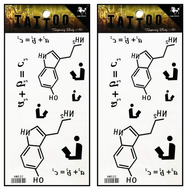 Tattoos 2 Sheets Chemical equation formula Temporary Tattoos Stickers ...