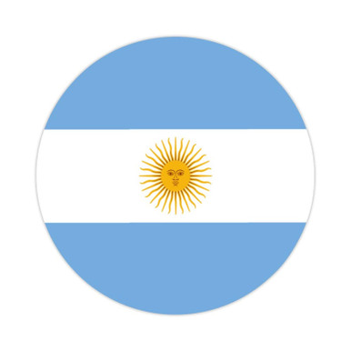 Bomehhjuli 10 Pcs Argentina Flag Vinyl Stickers Patriotic Gift Laptop ...