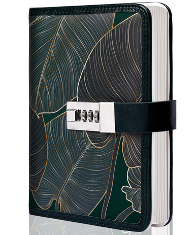 CAGIE Journal with Lock Combination Digital 224 Pages Lockable Secrets ...
