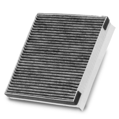 Cabin Air Filter RT735, Fits Equus, G70, G80, G90, Genesis, GV70, GV80 ...