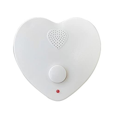 Electronics123.com Talking Heart Voice Recorder Sound Box for Stuffed ...