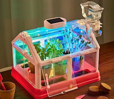 GrandSail Solar-Powered Grow Kit for Kids: A Fun and Educational STEM ...
