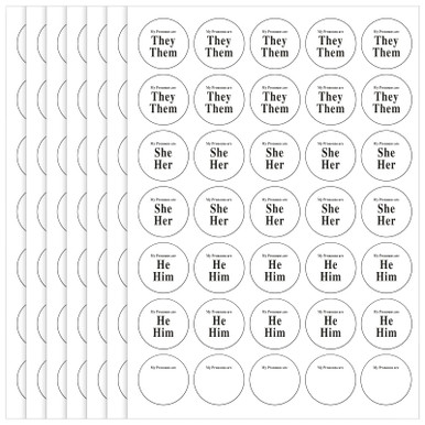 840 Pcs 24 Sheets Pronoun Stickers Bulk for Conference Badges They Them ...