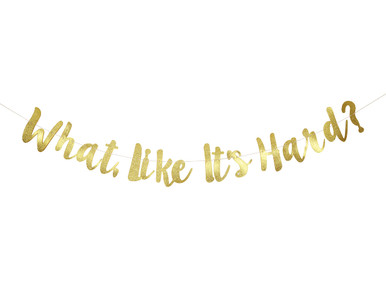what like it's hard?banner?law school graduation banner, law school ...