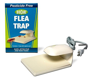 BioCare Indoor Flea Trap with Lightbulb and Sticky Capture Pad ...