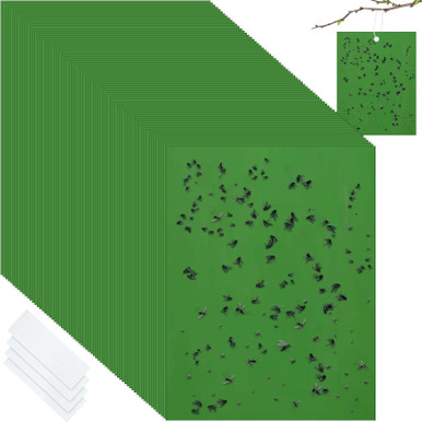 Qualirey 100 Pcs Double Sided Sticky Traps for Flying Plant Insect Like ...