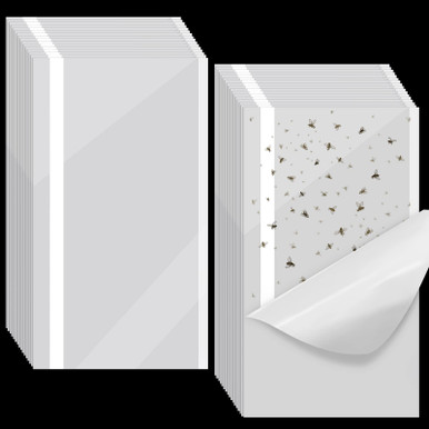 250 Pcs XL Window Fly Traps Indoor Clear Fruit Fly Traps Sticky Large ...