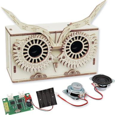 DIY Electronic Bluetooth Speaker Kit,3D Model Kits for Kids&Adults to ...