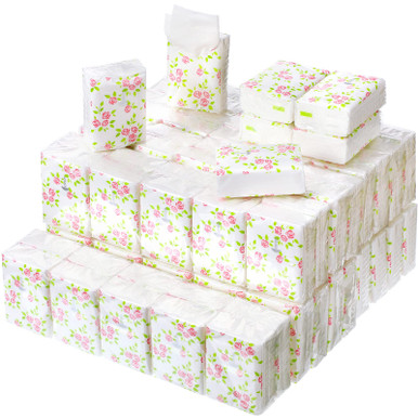 100 Pcs Travel Tissue Packs Small Personal Facial Tissues Eucalyptus ...