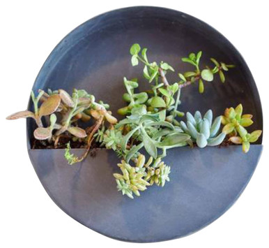 Artisan Living ARTISAN LIVING Orbea Round Wall Hanging Planters | Iron ...