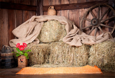 AOFOTO 10x7ft Farm Haystack Backdrop Bales of Straw Hay Rustic Barn ...