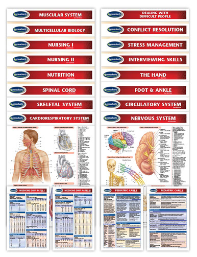 Permacharts Nursing, BSN, Registered Nursing Year 1 Curriculum ...