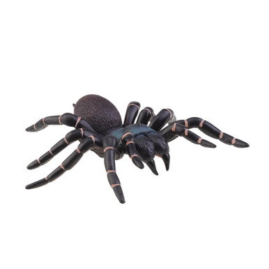 BESTOYARD 1 Pc Simulation Spider Outside Toys Halloween Trick Toy ...