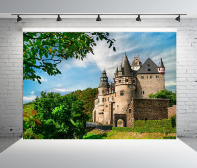 BELECO 7x5ft Fabric Germany Medieval Castle Backdrop Gothic Castle ...