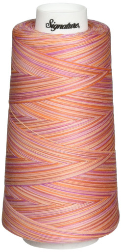 Signature Thread Machine Quilting Thread, 3000 yd, Variegated Cotton ...