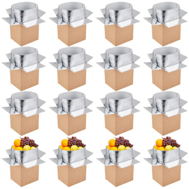 16 Pcs Small Insulated Shipping Boxes for Frozen Food with 6'' x 5'' x ...
