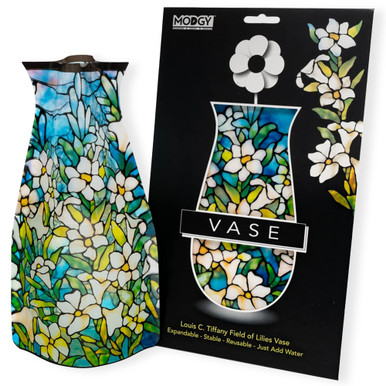 MODGY Expandable Flower Vase Plastic Decorative Modern Vases for ...