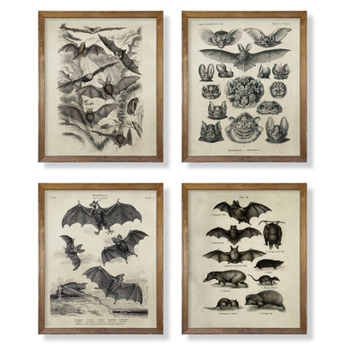 Bat Wall Decor - Creepy Gothic Wall Art - 8x10 Unframed Goth Decor ...