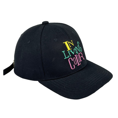 90'S in Living Color Baseball Cap Wayans Dad Hat Movie Hip Hop Rap ...